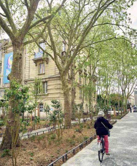 Végétalisation de l’espace public – Ville de Colombes – Site officiel
